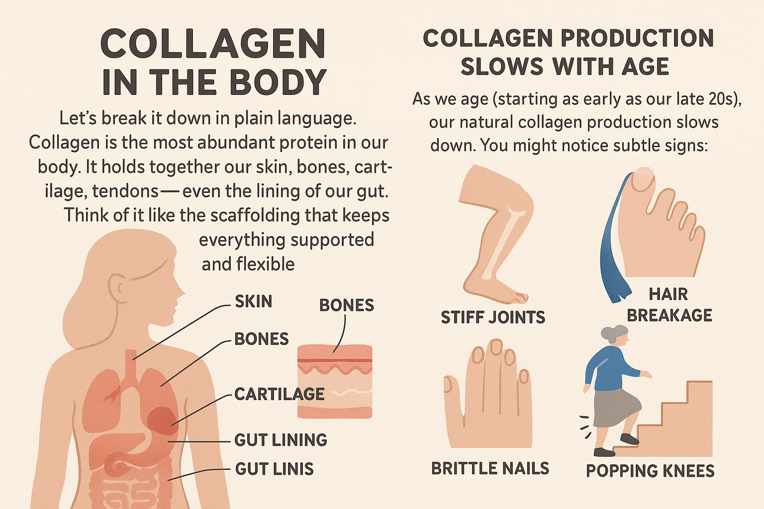 Eva | Still Think Collagen’s Just for Skin? Read This